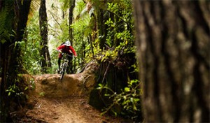 Bike - The Redwoods - Whakarewarewa Forest, Rotorua, New Zealand
