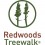 Redwoods Treewalk Rotorua - The Redwoods - Whakarewarewa Forest ...